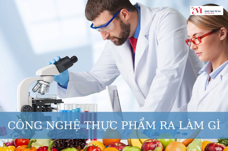 Học Công nghệ thực phẩm ra làm gì? Có dễ xin việc không